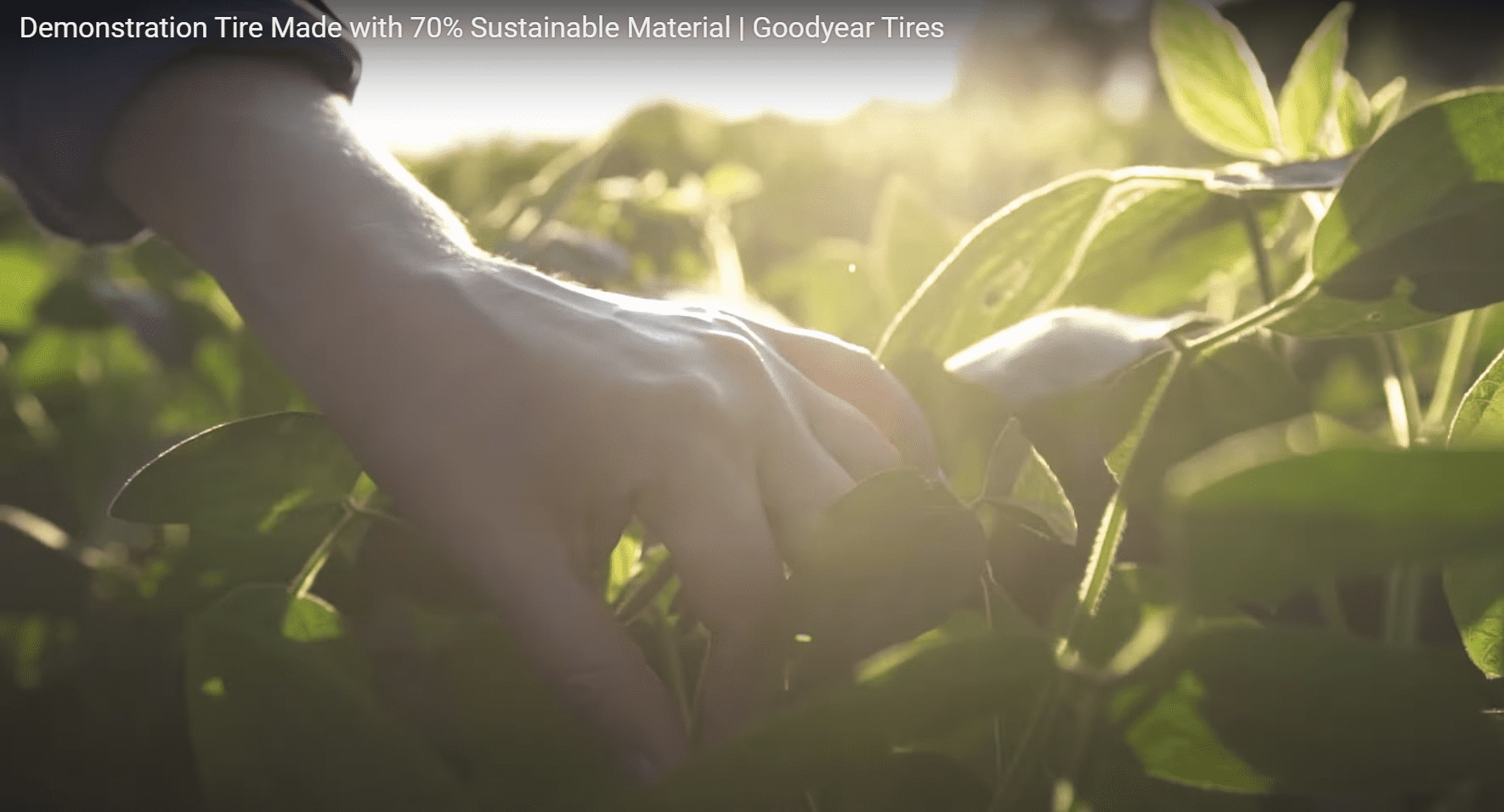 Soy Stars in Goodyear's New 70% Sustainable-Material Demonstration Tire ...